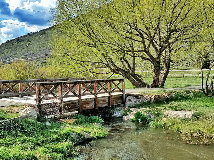 Summer in Park City reveals verdant trails where winter's ski runs once dominated. The mountains have more than one story to tell.