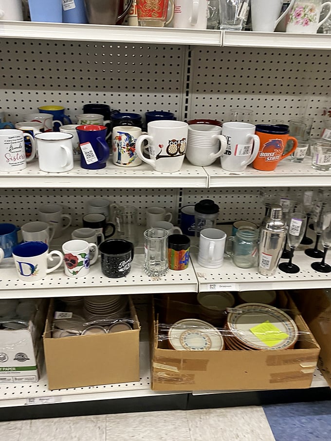 Mug collectors, rejoice! From quirky corporate swag to forgotten vacation souvenirs, your next morning coffee vessel awaits.