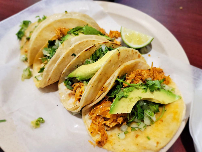 The avocado slices on these chicken tacos aren't just garnish - they're nature's butter, elevating each bite from delicious to transcendent.
