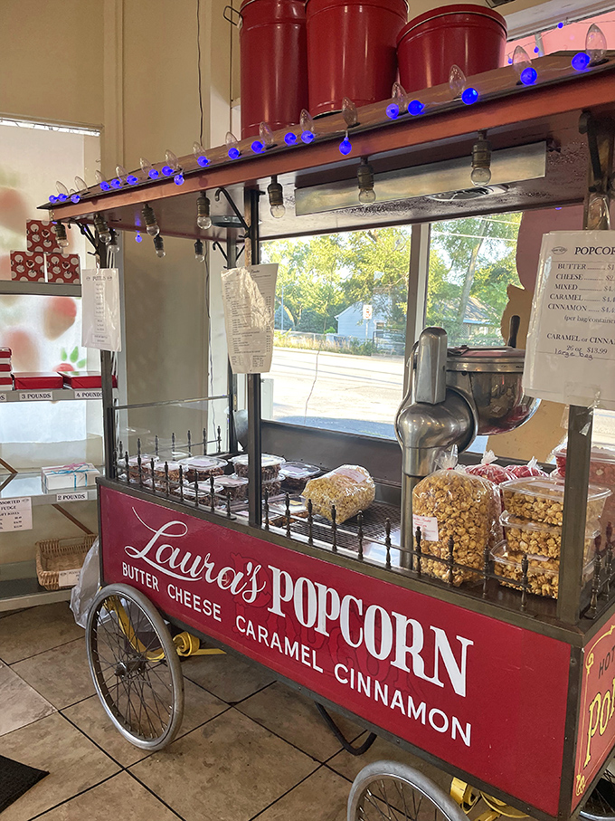 The vintage popcorn cart isn't just nostalgic eye candy&mdash;it's a functional time machine producing buttery, caramel, and cinnamon treasures that Orville Redenbacher would salute.