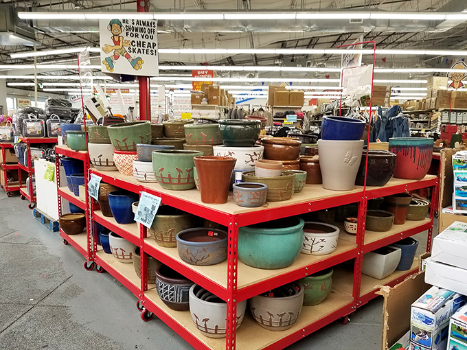 Pottery paradise! These colorful planters and pots would make even your neighbor with the green thumb jealous.