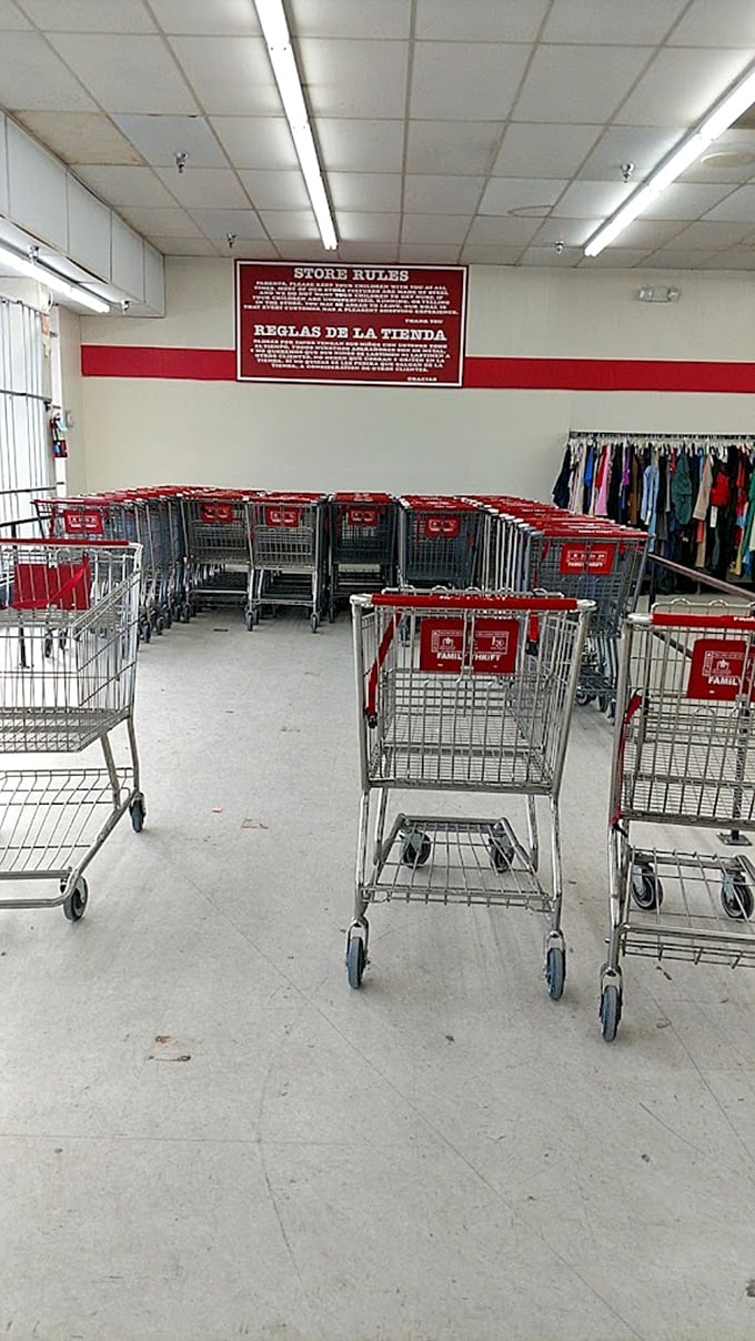 The humble chariots of thrift store conquest stand ready. These red-trimmed carts will soon overflow with potential treasures and definite stories.