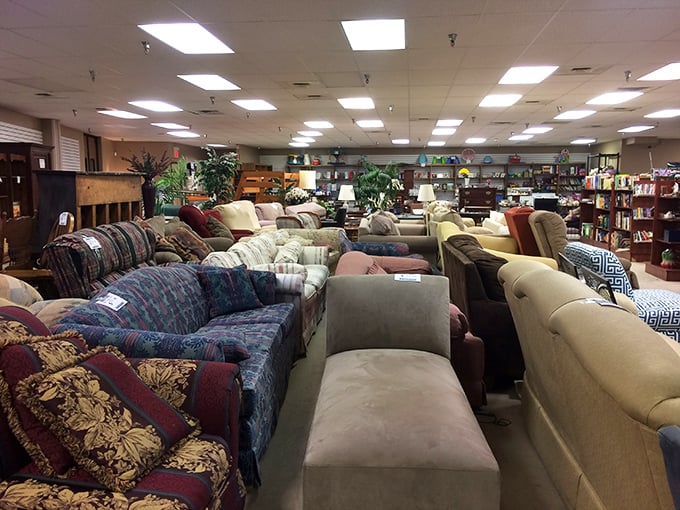 The couch collection rivals any furniture showroom, except here each piece comes with bonus character and a price that won't induce cardiac arrest.