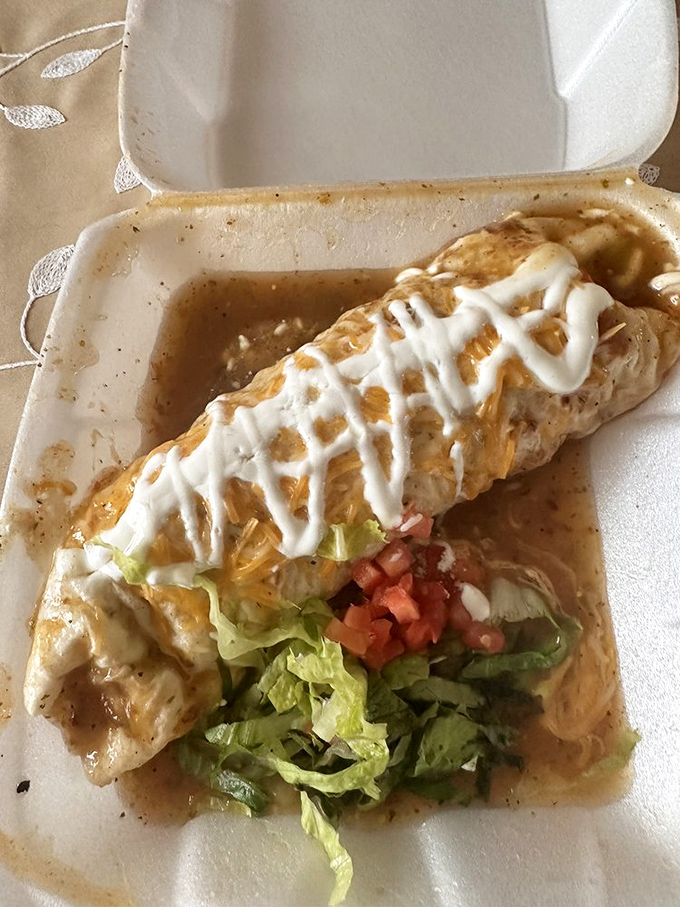 The zigzag of sour cream atop this smothered burrito is like the signature of an artist who knows exactly what they're doing.