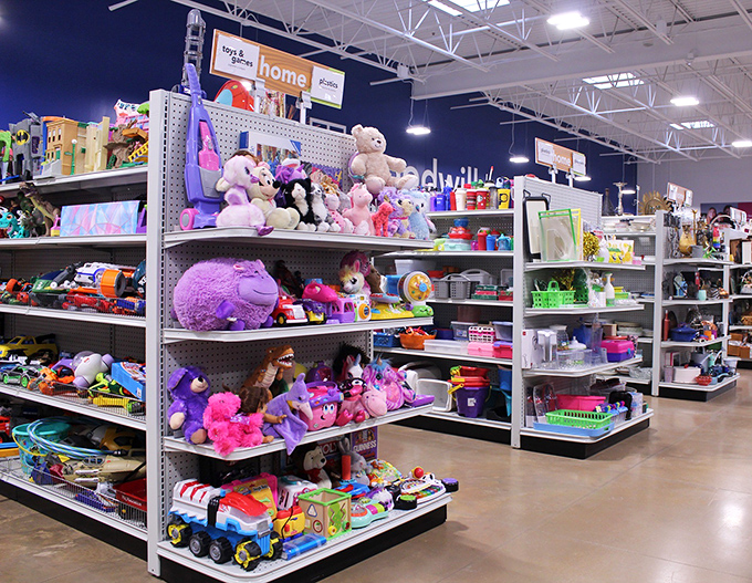 The toy section: where childhood memories get recycled and teddy bears patiently wait for their next hug.