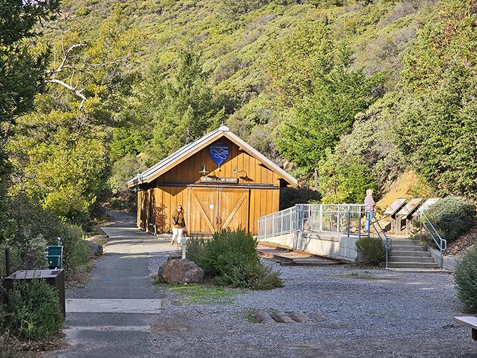 The rustic visitor center, where park rangers share secrets of the mountain that no smartphone app could ever reveal. Old-school knowledge at its finest.