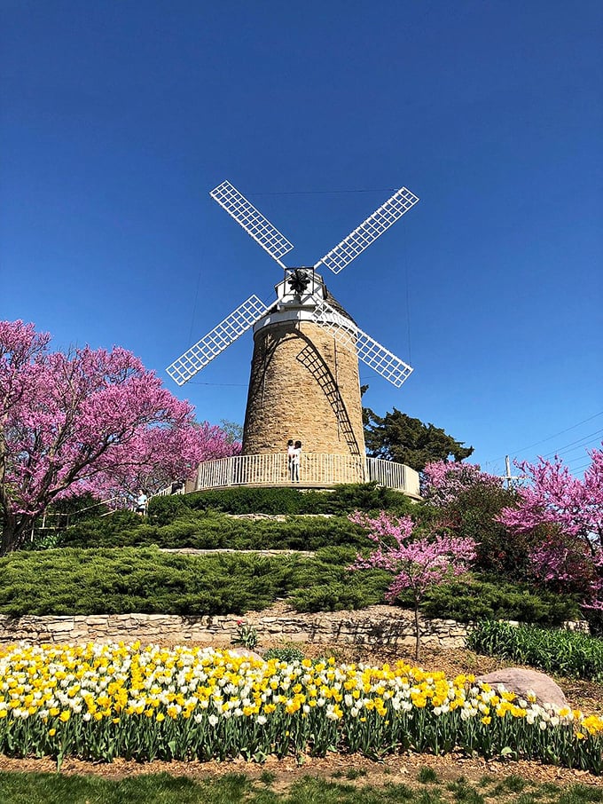The Schonhoff Dutch Mill stands majestically amid spring blooms. This authentic windmill didn't need a tornado to travel from Holland to Kansas.