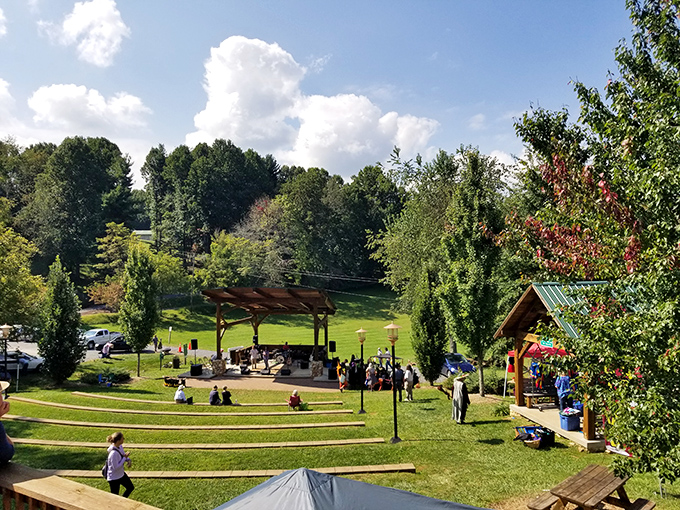 Warren G. Lineberry Community Park transforms into an outdoor concert venue where mountain music fills the air and friendships bloom under open skies.