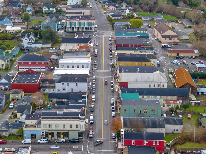 From above, Ferndale reveals its perfect small-town layout&mdash;a main drag flanked by neighborhoods where every roof has a story to tell.