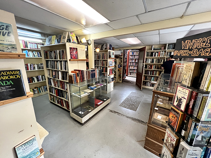Step into the Vintage Paperback room, where Vladimir Nabokov's "Ada" keeps watch over glass display cases preserving literary history.
