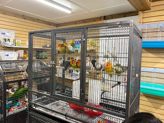 These feathered residents add a splash of tropical color, reminding shoppers that La Vaquita's offerings span well beyond the ordinary flea market fare.