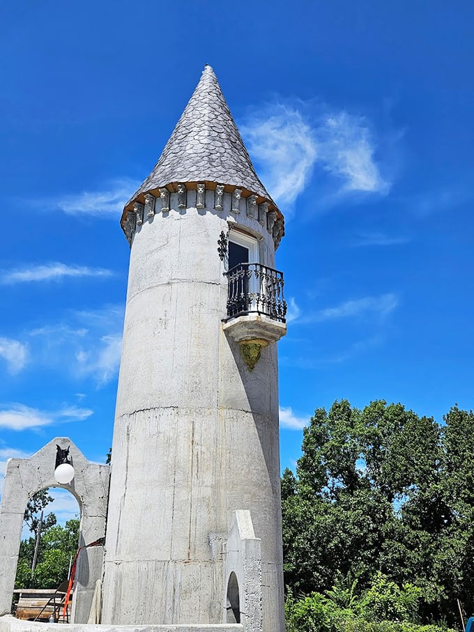 This tower isn't just for princesses with extraordinarily long hair&mdash;it offers spectacular views of the surrounding Ozark countryside.