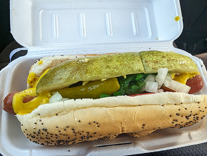 Behold the Chicago dog in all its poppy-seeded, neon-relish glory! The Midwest's greatest contribution to civilization, nestled in a take-out container.