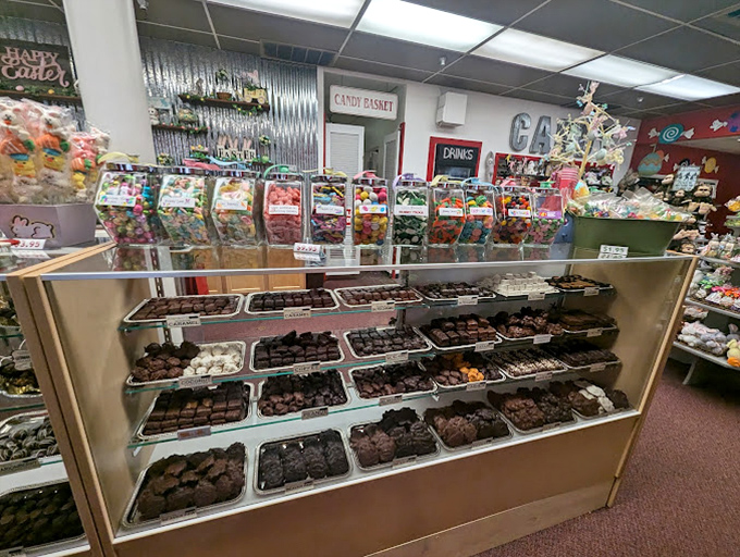 Display cases that make adults press their noses against the glass like six-year-olds. Resistance is deliciously futile.