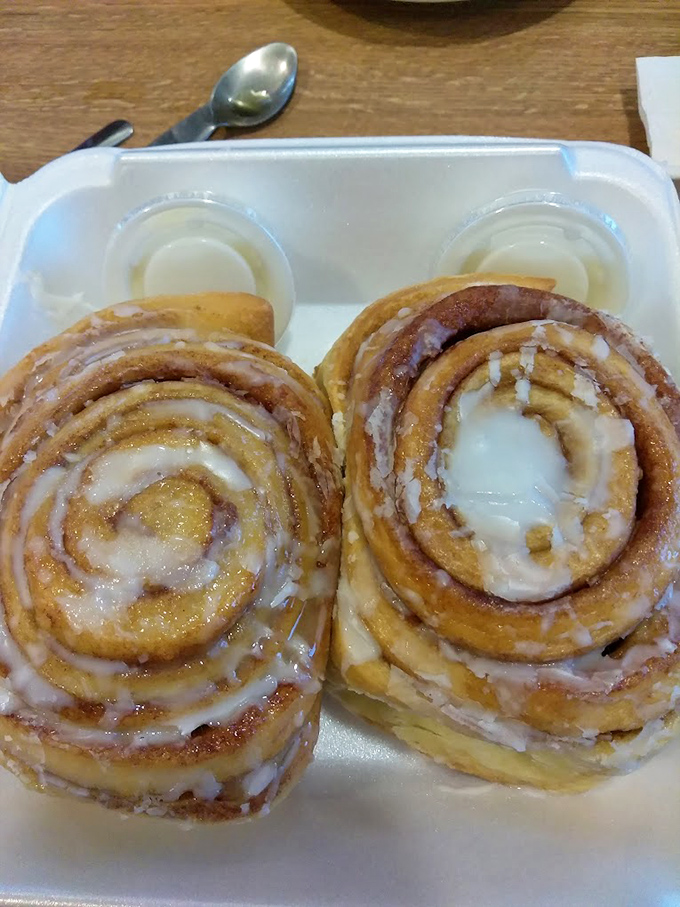 Cinnamon roll twins awaiting adoption. Their glistening frosting whispers sweet promises that your diet can always start tomorrow.