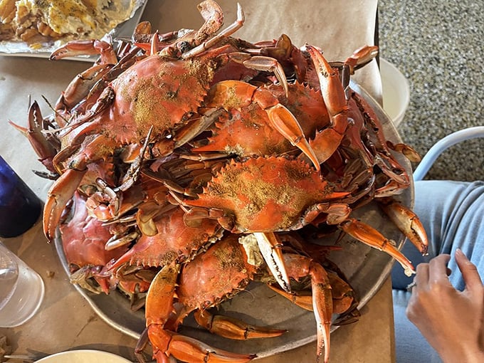 Old Bay-dusted treasures from the bay, ready for their hammer time moment. These crabs didn't dress up for nothing!