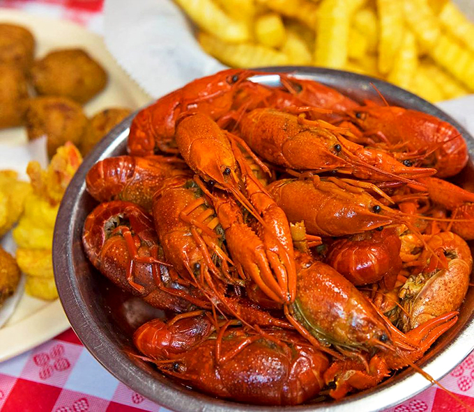 These crawfish aren't just food; they're a social event. Bright red treasures demanding your full attention and rewarding every minute spent.