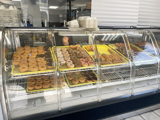 The glass case of temptation where decisions become impossible. Like choosing between children, if your children were made of fried dough and sugar.