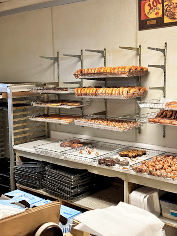Freshly made donuts cooling on racks like edible works of art. Michelangelo had his Sistine Chapel, Chicago has these golden beauties.
