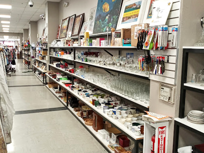 Crystal, glass, and ceramic treasures line the shelves. Someone's forgotten wedding gift could become your signature cocktail vessel.