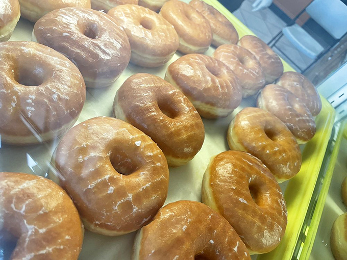 The glazed army stands at attention, awaiting their delicious deployment. Each golden ring holds the promise of a better day.