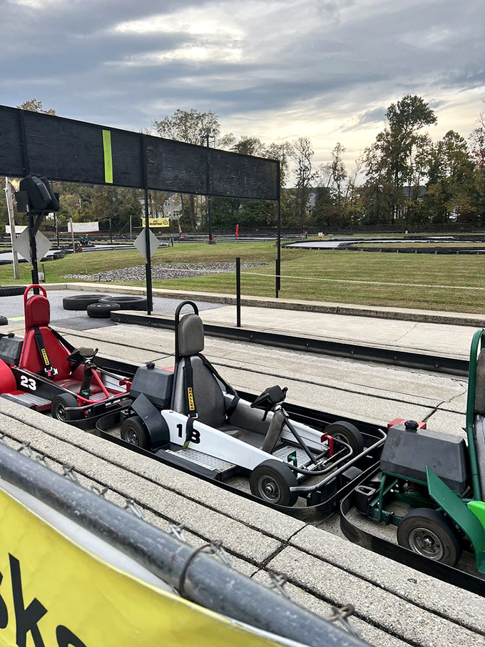 The starting grid &ndash; where friendships temporarily pause and siblings silently plot overtaking maneuvers that would make Mario Andretti proud.