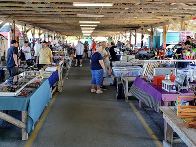 The covered pavilions offer blessed shade and organized chaos. Veterans know to start here when the Florida sun climbs too high in the summer sky.
