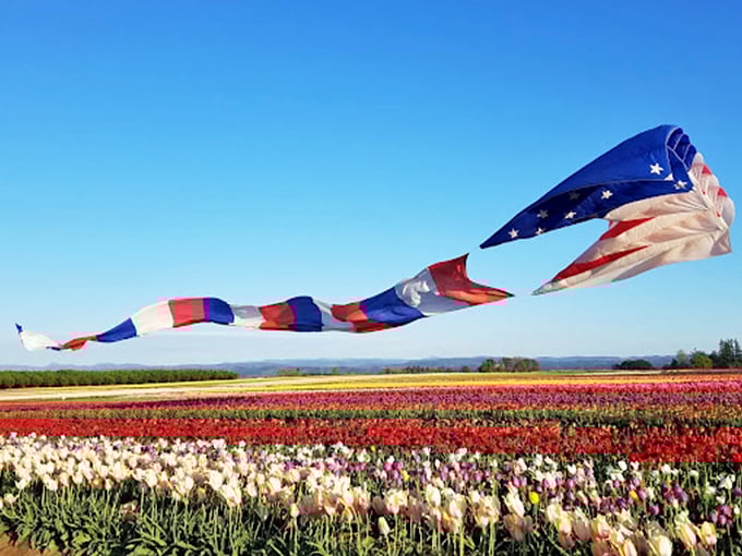 A patriotic wind sock dances above the rainbow landscape, as if America and Holland decided to throw the most colorful block party ever.
