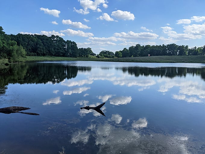 Mother Nature showing off her reflection game at the nearby lake&mdash;where clouds meet water in a display more peaceful than your meditation app.