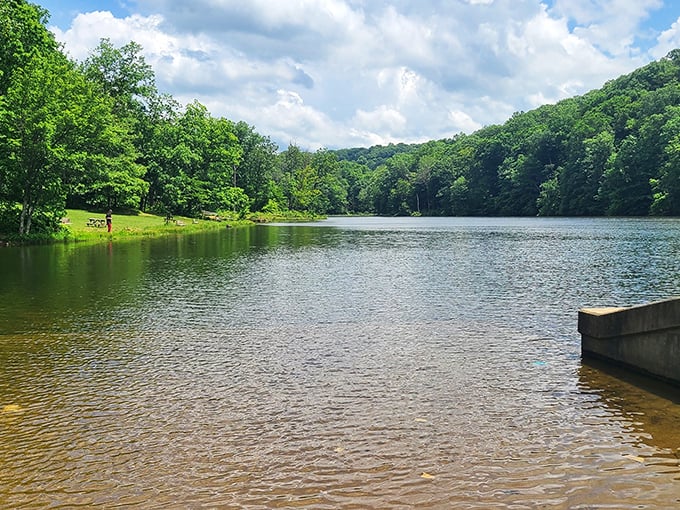 Mother Nature showing off again! This serene lake in Brown County State Park offers a mirror-perfect reflection that Instagram filters couldn't improve if they tried.