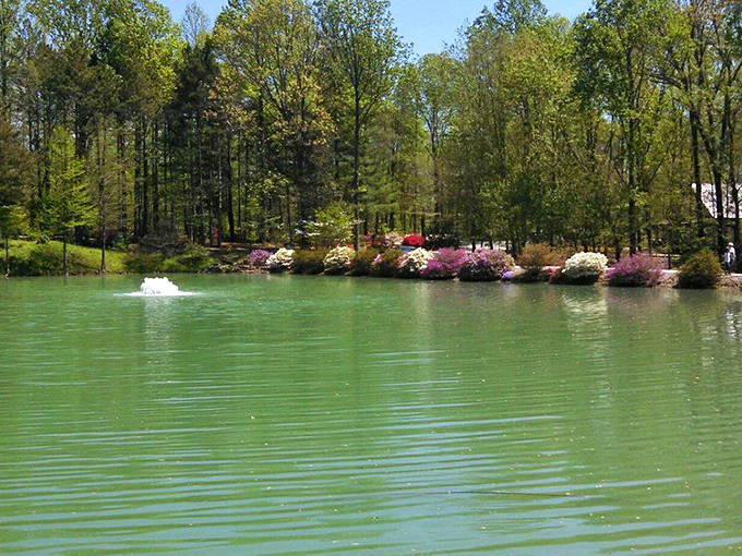 The pond at Azalea Path doesn't just reflect trees&mdash;it mirrors the sky's moods, surrounded by a chorus line of pink and white blooms.