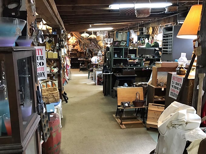 The narrow pathways feel like secret passages in a museum where "Do Not Touch" signs have been gloriously abandoned.