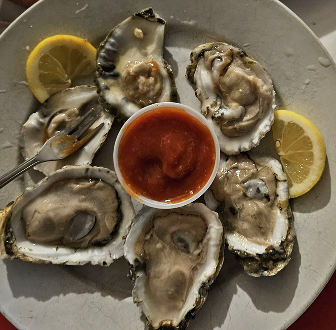 Oysters so fresh they practically wink at you from the shell. The ocean's perfect delivery system for briny bliss and lemon-kissed cocktail sauce.
