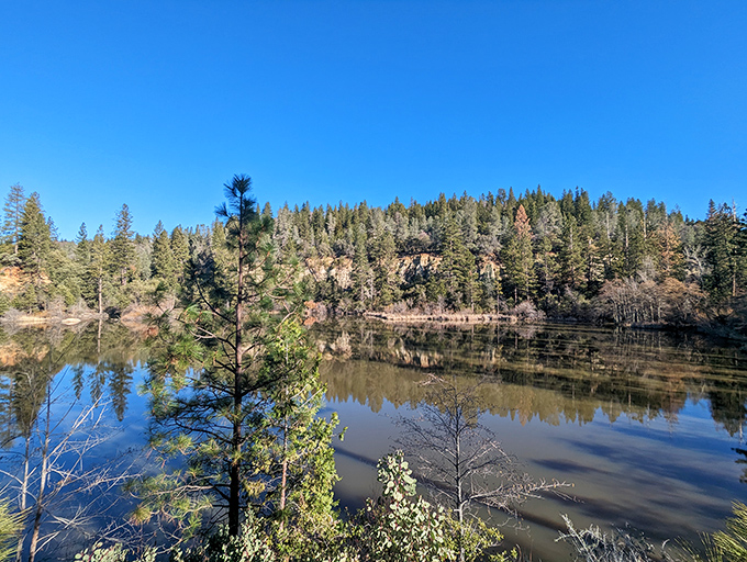 Mirror-like waters reflect the surrounding pines, creating a scene so peaceful you'll forget you're only hours from the Bay Area chaos.