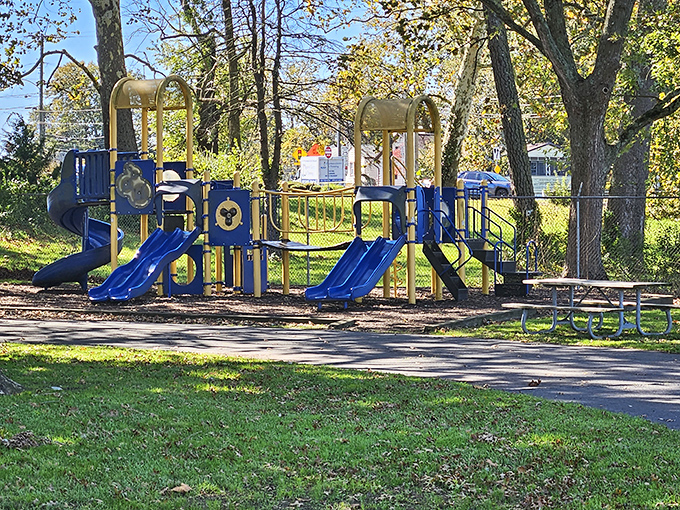 Kids laugh and climb at one of Millsboro's community playgrounds, where screen time takes a backseat to sunshine and imagination.