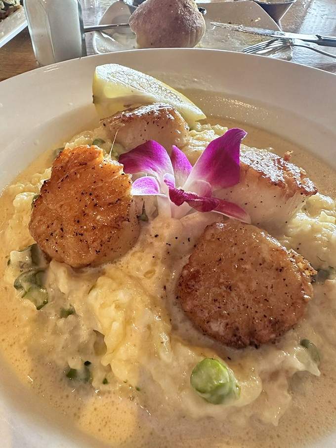 Golden-seared scallops nestled on creamy risotto &ndash; proof that sometimes the best ocean treasures find their way to Great Lakes tables.