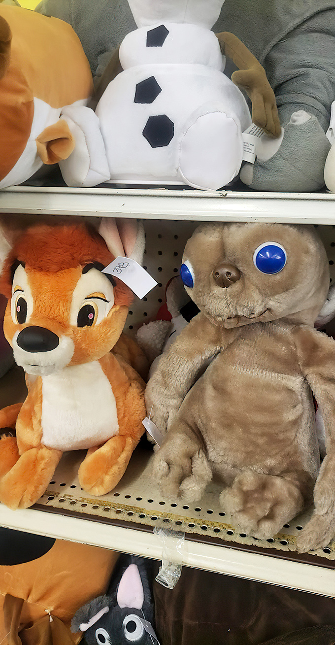 Stuffed animal adoption center! That fox and seal are giving you "take me home" eyes that would melt even the most budget-conscious shopper.