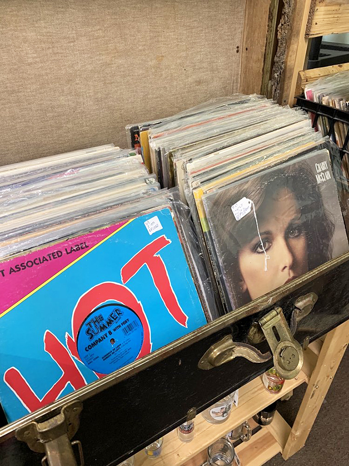 Vinyl hunters, prepare to lose track of time. Each album cover tells a story, and somewhere in this stack is the soundtrack to your childhood.