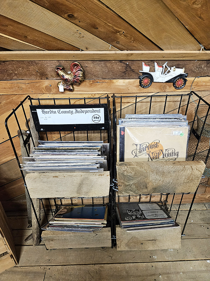 Vinyl treasures waiting to spin again. That Harvest album reminds us when music wasn't just streamed but experienced&mdash;crackling imperfections and all.