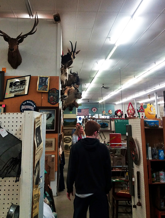 The thrill of the hunt draws visitors down aisles where taxidermy trophies stand sentinel over treasures below.