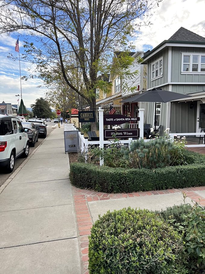 Wine tasting alley, where Carhartt and other boutique vineyards prove that sometimes the most extraordinary flavors come in the most unassuming packages.