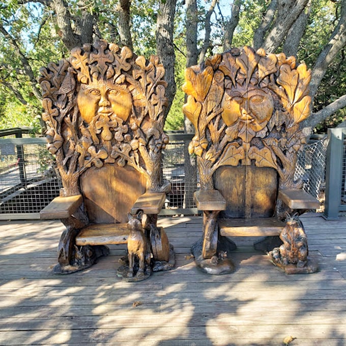 These aren't your average park benches. Carved wooden thrones fit for forest royalty invite visitors to sit and commune with nature's nobility.