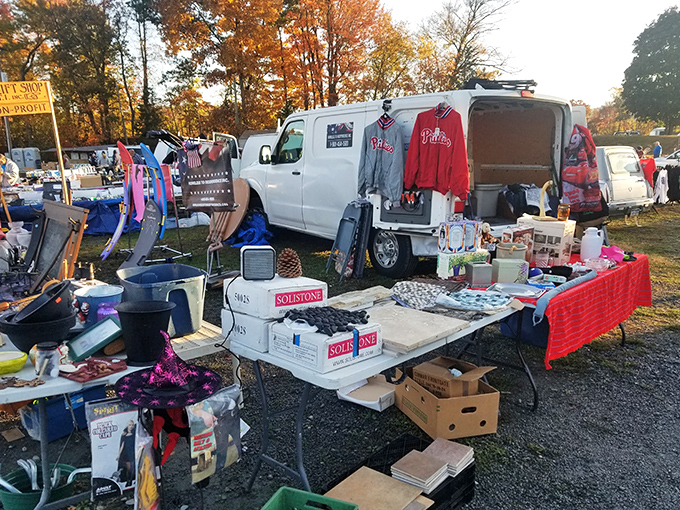 Blue Ridge Flea Market: Weekend warriors navigate the aisles of possibility, where every table might hold the find of the day.