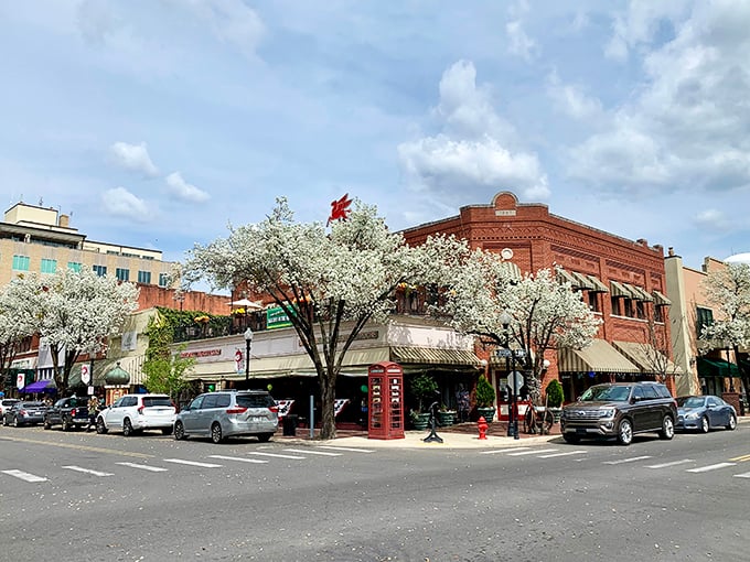 El Dorado's brick buildings stand shoulder-to-shoulder like old friends who've weathered a century of Arkansas history together.