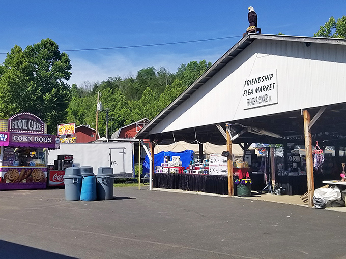 Nature meets commerce as a bald eagle perches atop the Friendship Flea Market, apparently supervising America's favorite pastime: shopping for other people's stuff.