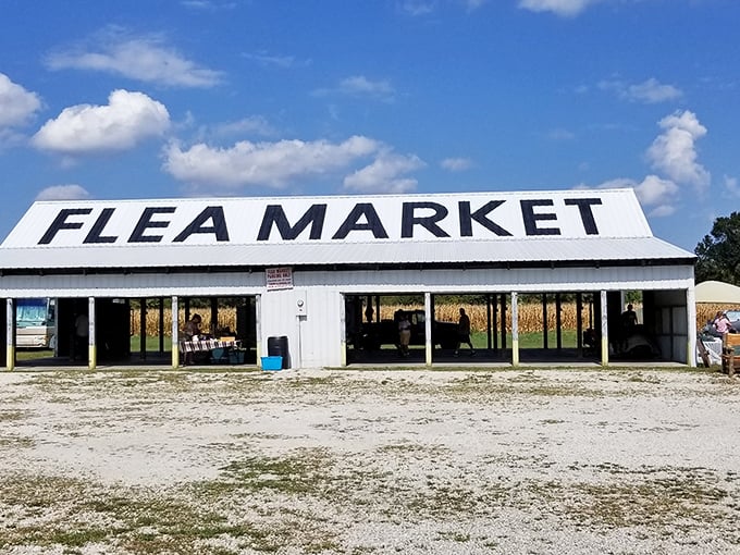 Simplicity with substance. This unassuming structure houses a universe of fascinating objects just waiting to tell their stories.