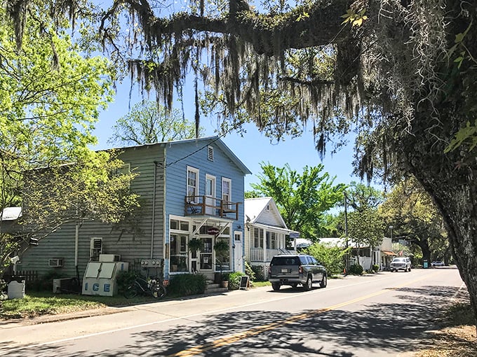 McClellanville's oak-lined streets create nature's version of a cathedral ceiling, minus the stained glass, plus the Spanish moss.