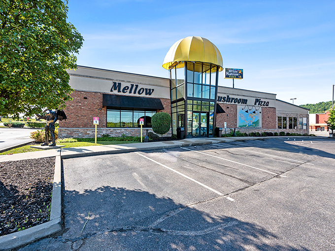 Mellow Mushroom: That yellow dome entrance isn't just architecture &ndash; it's a promise that fun lives inside. Pizza with personality.