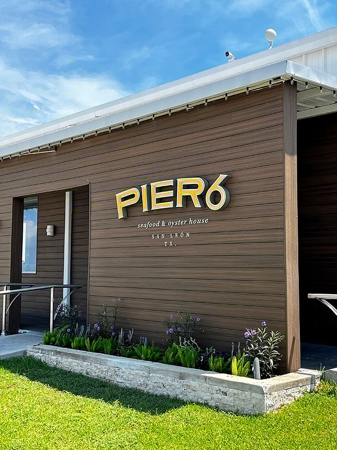 Pier 6's sleek wooden exterior might be the new kid on the dock, but those oysters speak an ancient Gulf language.