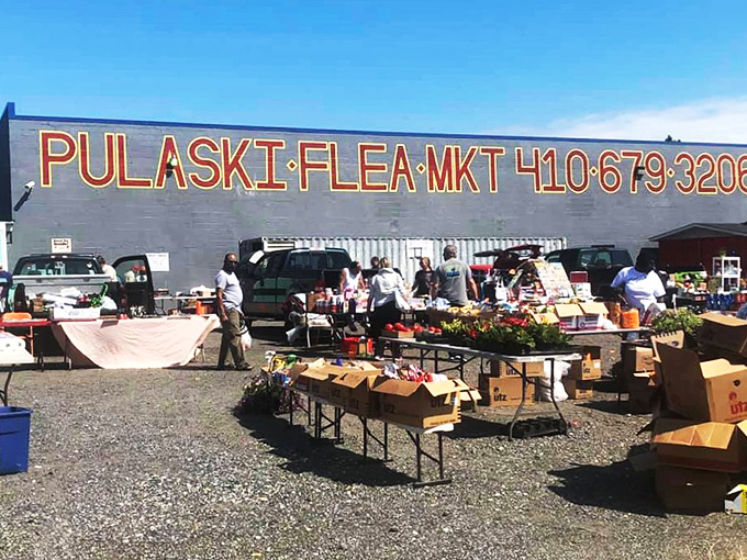 Pulaski's bold signage cuts to the chase&mdash;we're here for deals, not d&eacute;cor. The gravel lot transforms into a weekend bazaar.